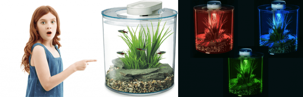 Marina 360 Aquarium Product Review - Keeping Fish