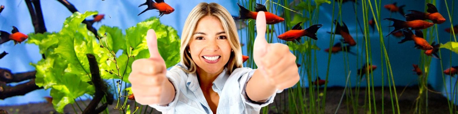 The Beginner's Guide to Keeping Fish in a Home Aquarium